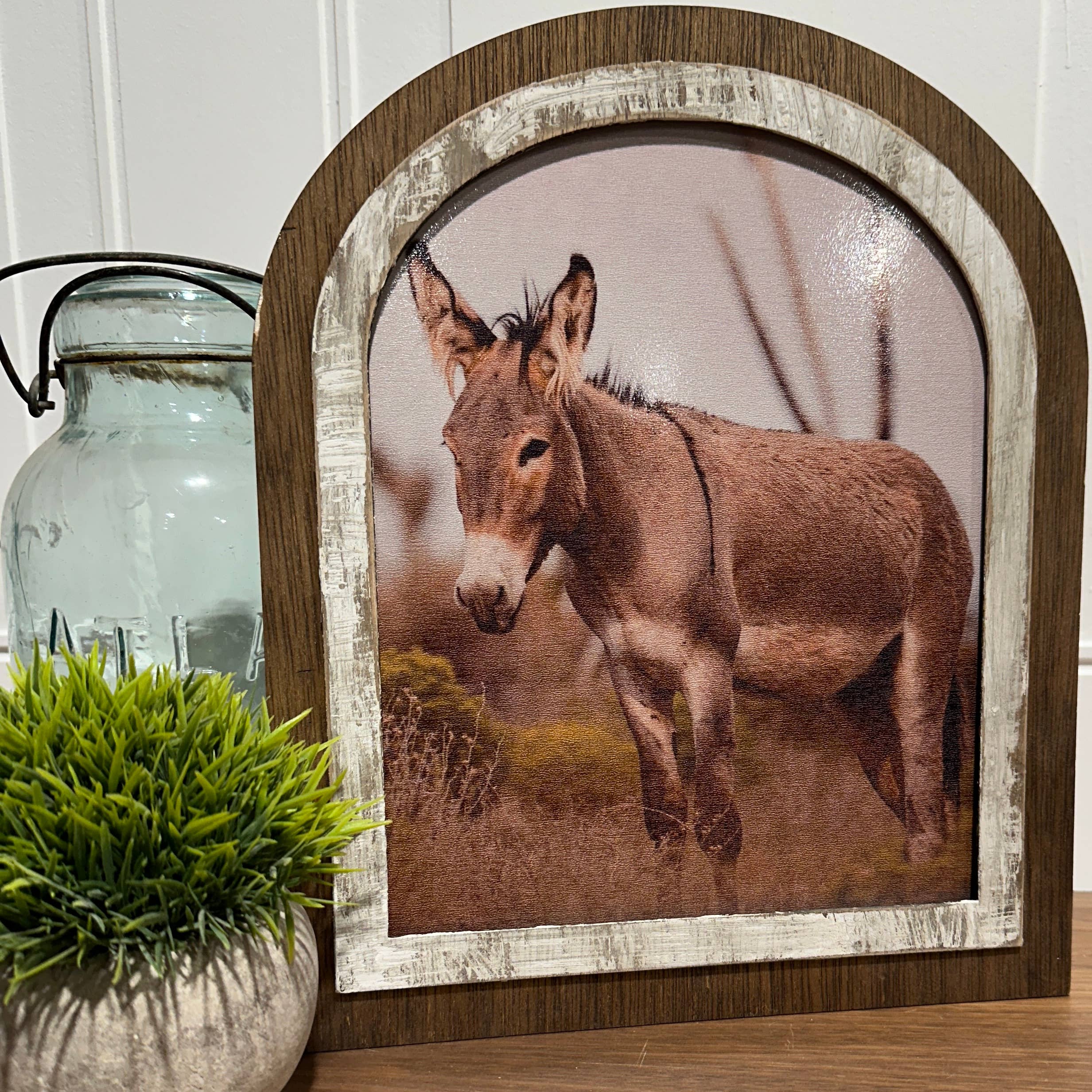 Donkey Wall Art – Cassidy Station
