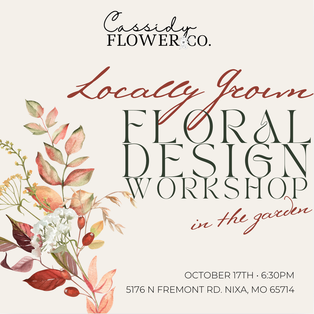 Workshops – Cassidy Station